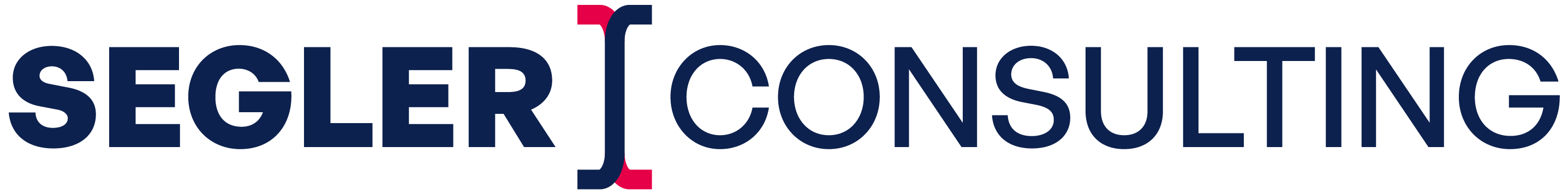 EIC Accelerator Grant Consulting | Expert EU Funding Support | Segler Consulting